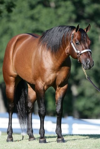 Einsteins Revolution